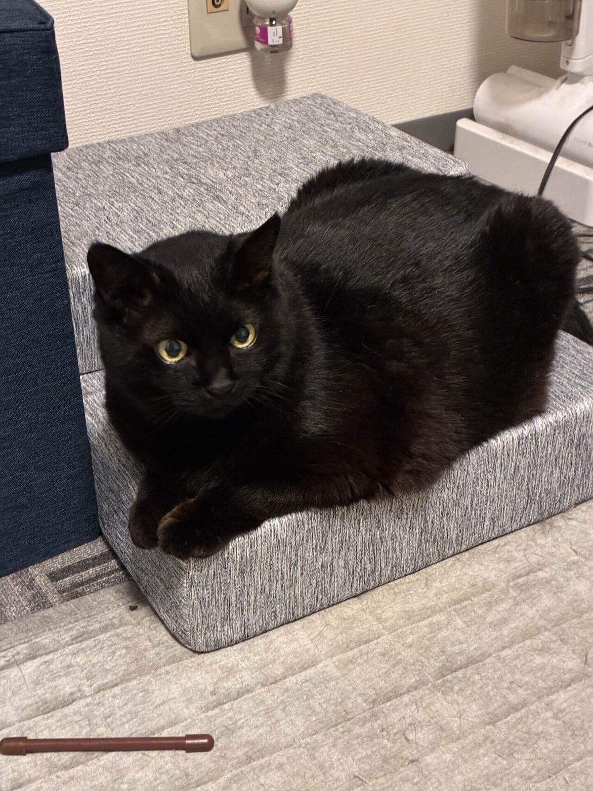 新しいラジオ局を開拓してみた件｜unitason