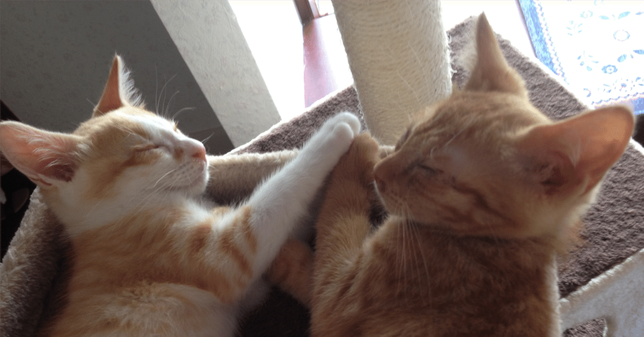 “縁”に想う｜Moosan