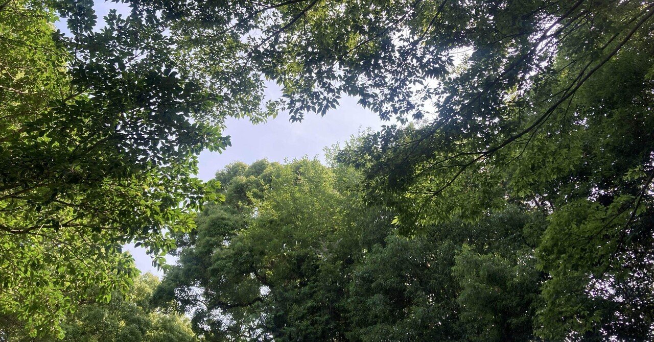 「あの人」｜kayo