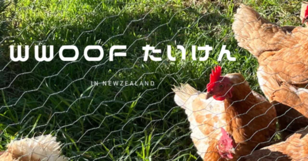 【New Zealand 】WWOOF🌿体験｜Hanacotoba