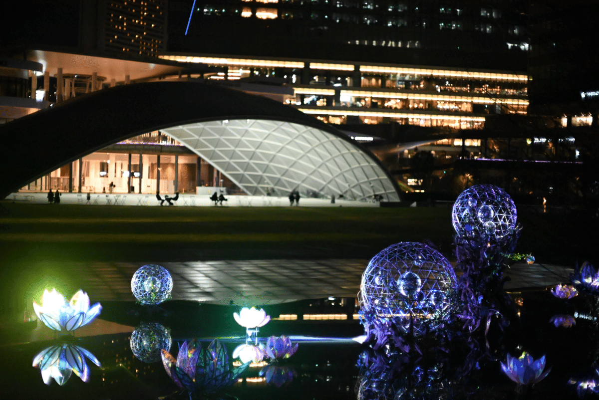 Nikon Z5の話｜桜橋