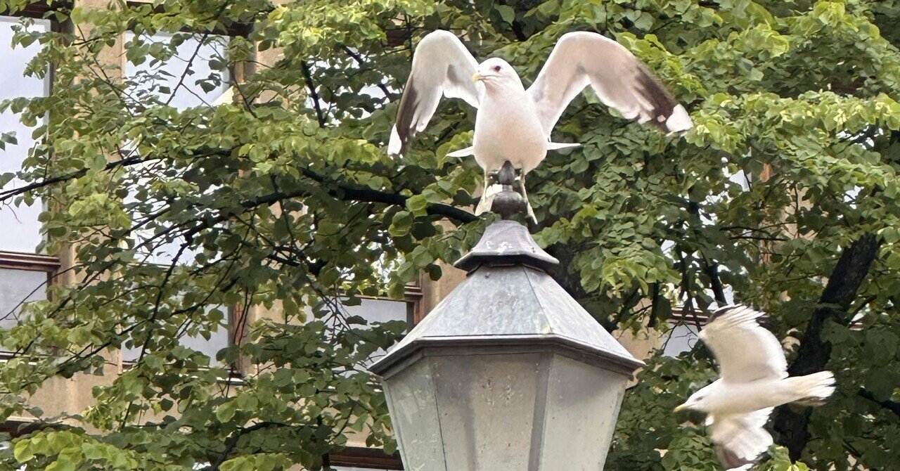 港町｜手仕事日本。(note ver.)