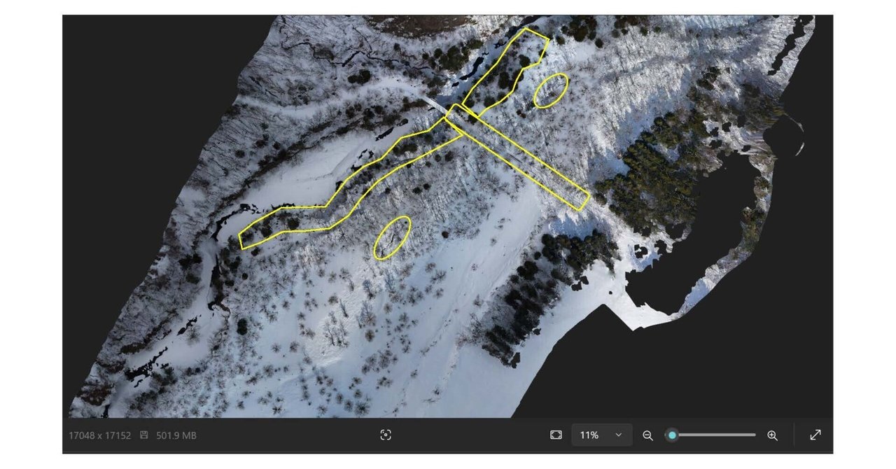 上トヨイの森 の更新｜TOMOYUKI SUGANO