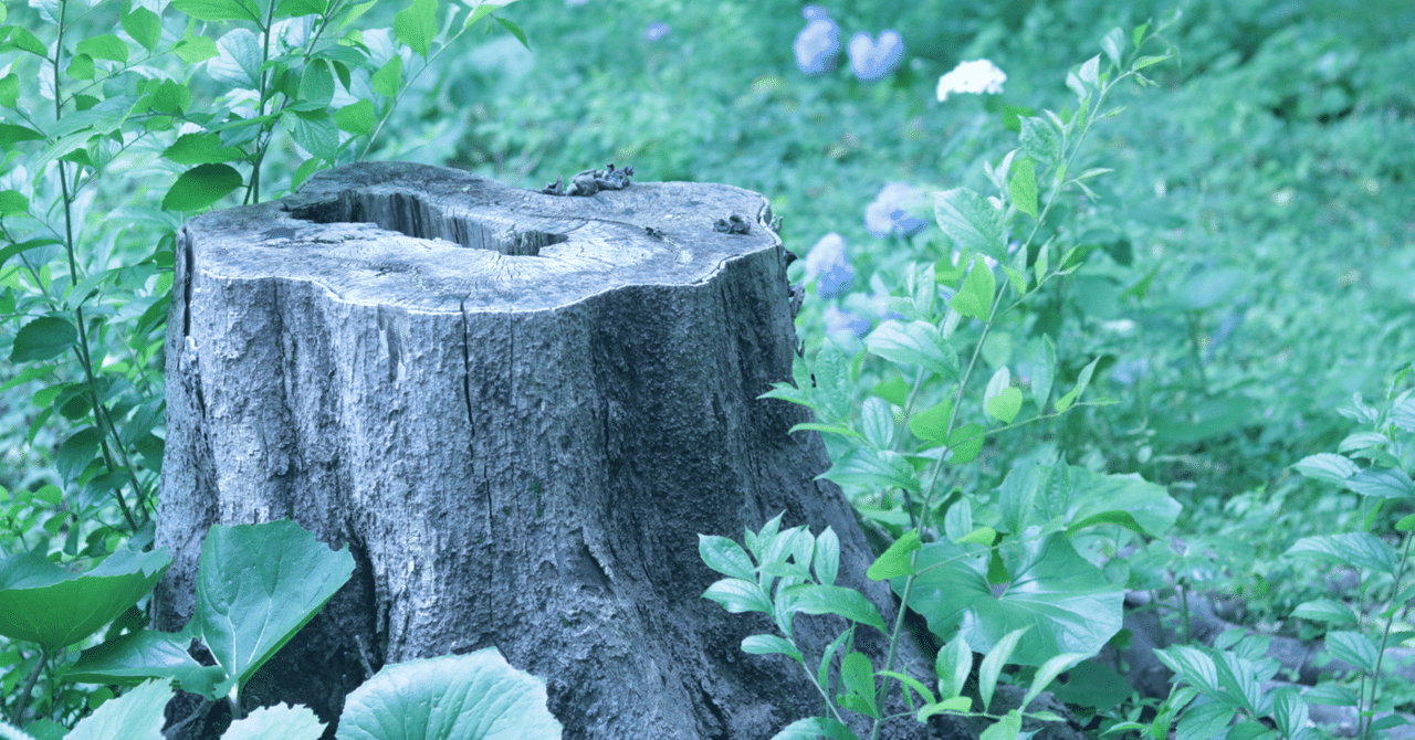 新型コロナウイルス伏滅と仏教｜岐阜聖徳学園大学 仏教文化研究所「法話」