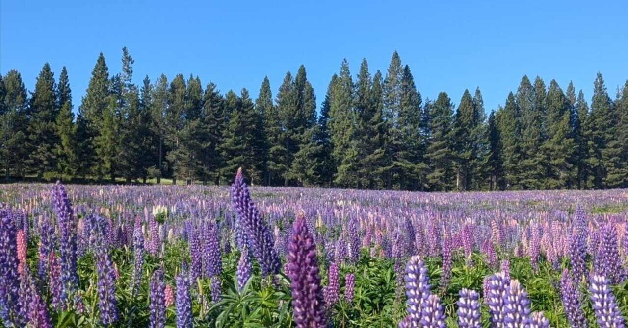 ワーホリ プロローグ｜Omusubi