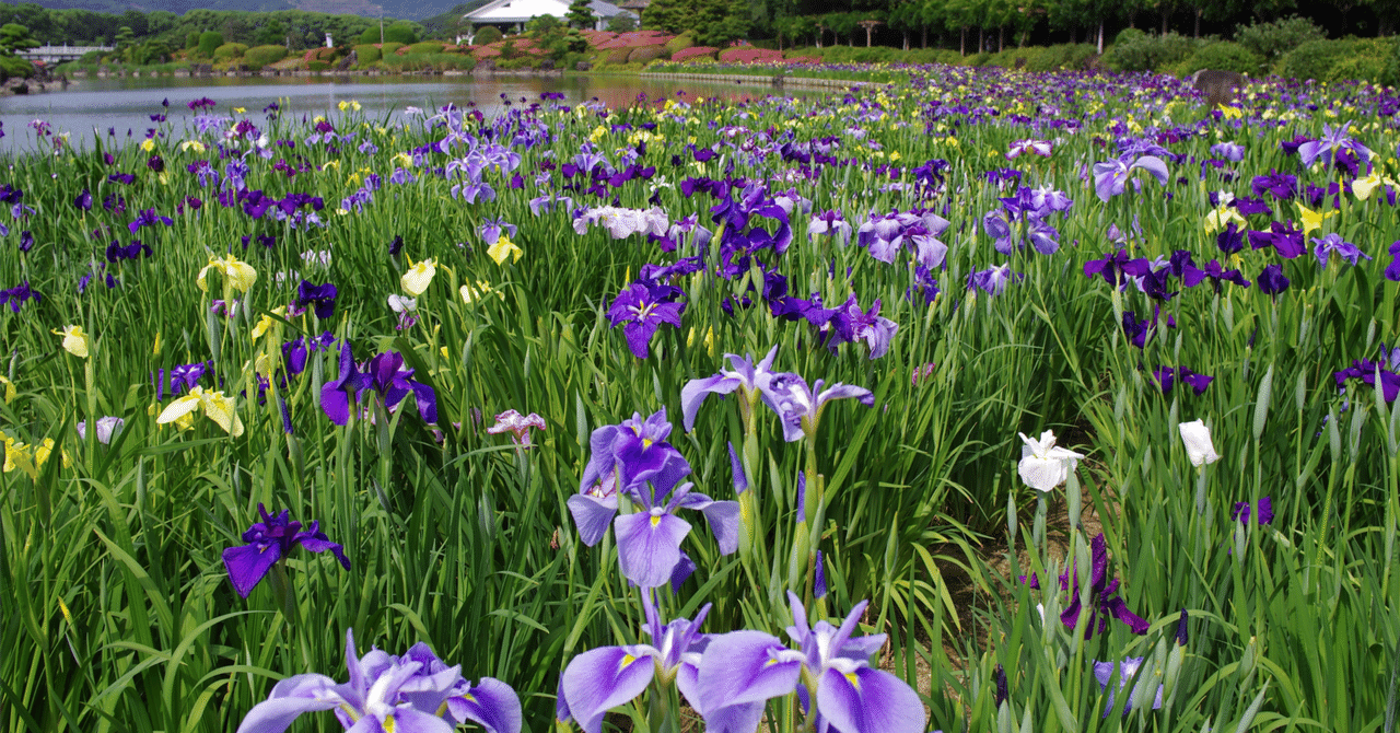 HSPとASDの押さえておきたいポイント｜tsutomu_kamiohta