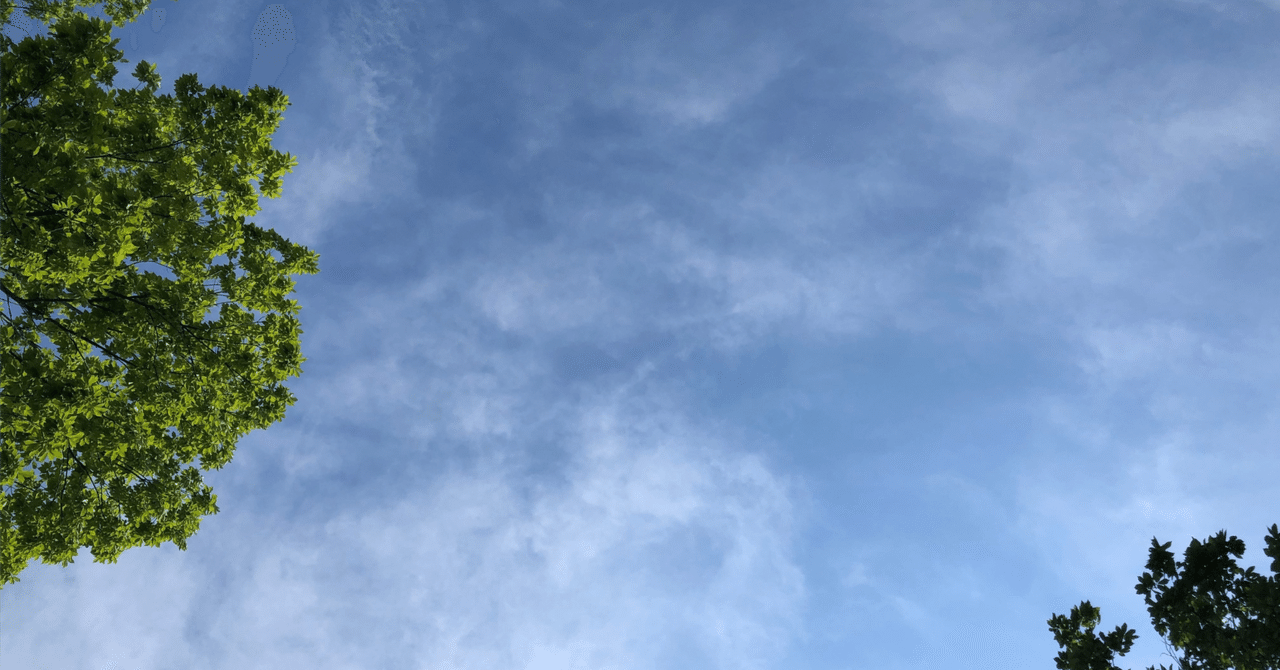 97歳、まだまだやる気です。｜ゆらの（YURANO）