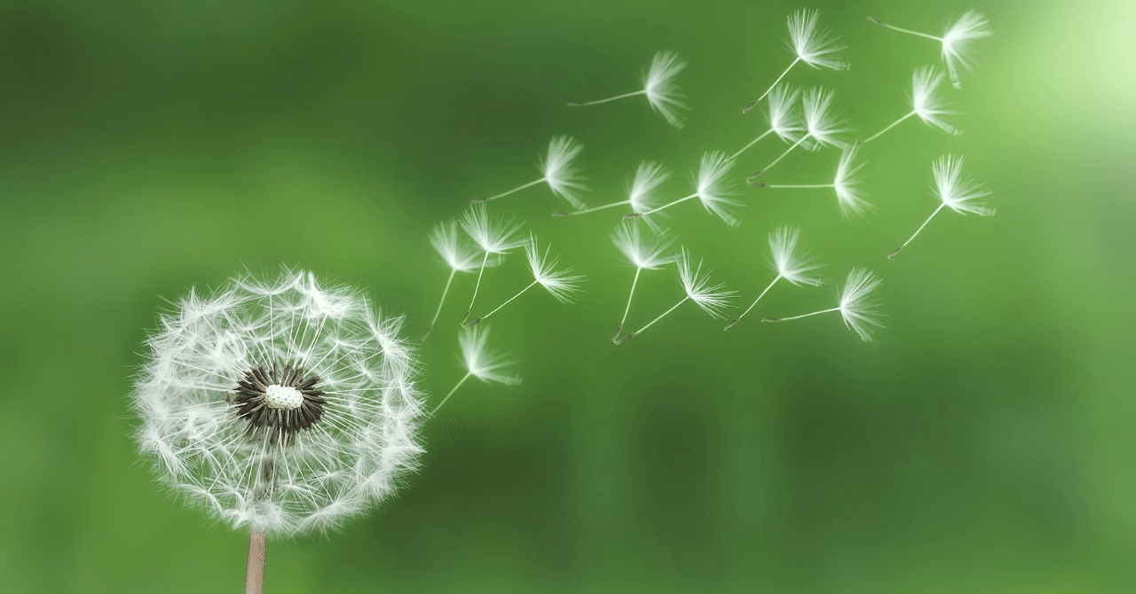 善と悪を越えてゆく スターシード｜Kaoru Sydney「我は神なり龍神なり⋯」 大和の国に再び光を取り戻す