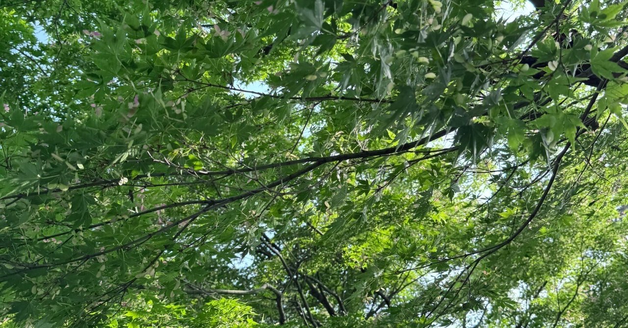 ただの明日｜NAGISA.