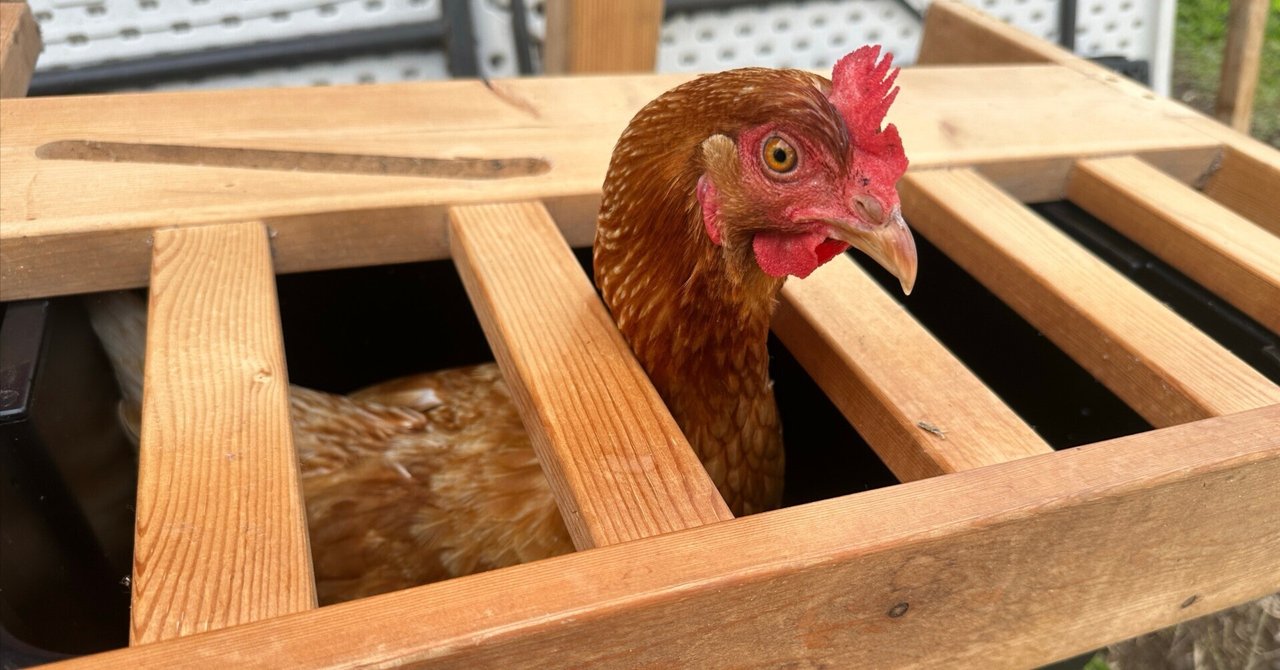 ずっと書けなかった理由（わけ）｜Yoko Harada