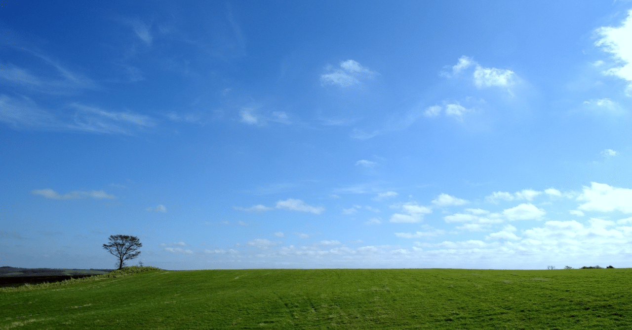 退職勧奨という選択〜医療現場で向き合った現実と法的留意点〜｜yukky