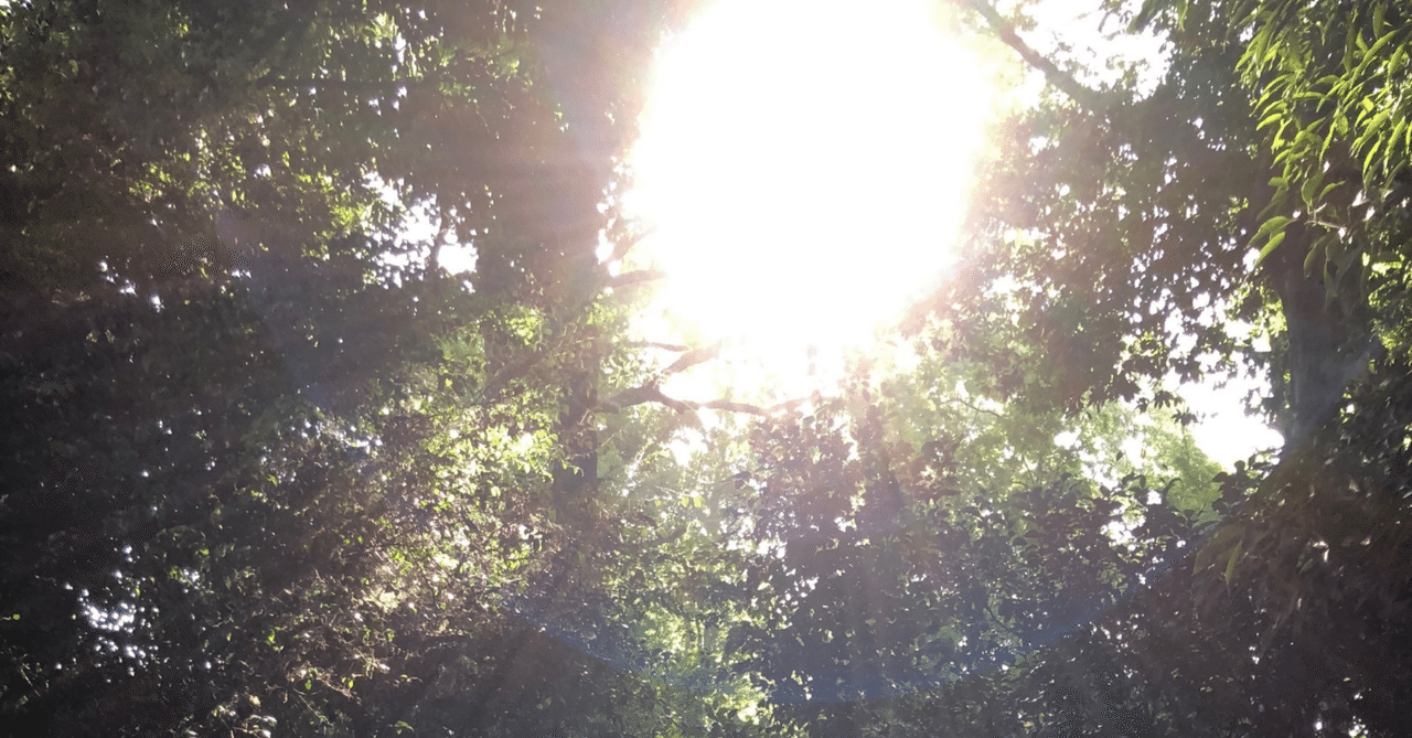 連続小説【私の取材記・11】｜T.Koji