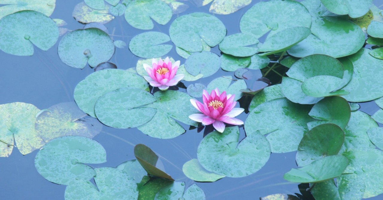 NEWTのホテル ｜aurinko