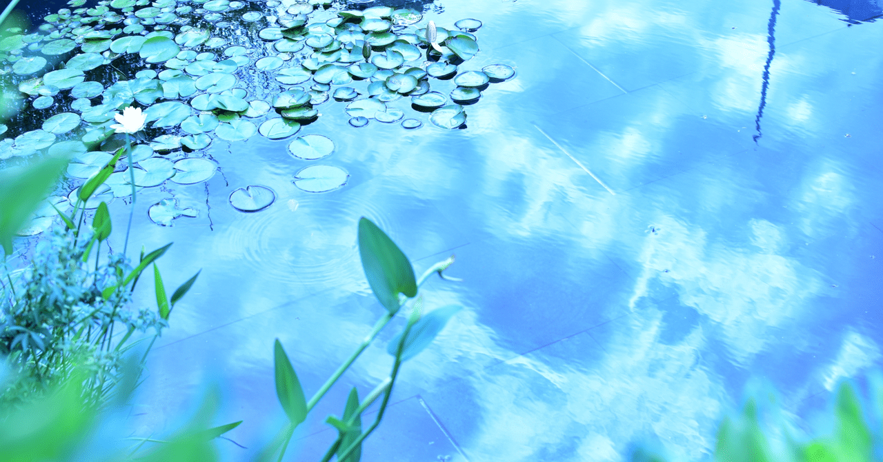 短編小説『Summer Nude』｜achi-ko（檸檬大福）