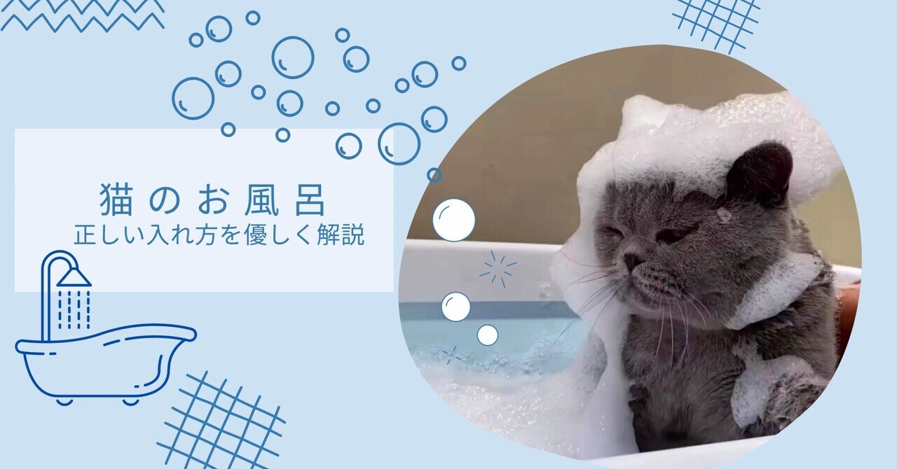 猫のお風呂｜正しい入れ方を優しく解説｜Moco pet note|動物看護師資格もちのペット知識ノート