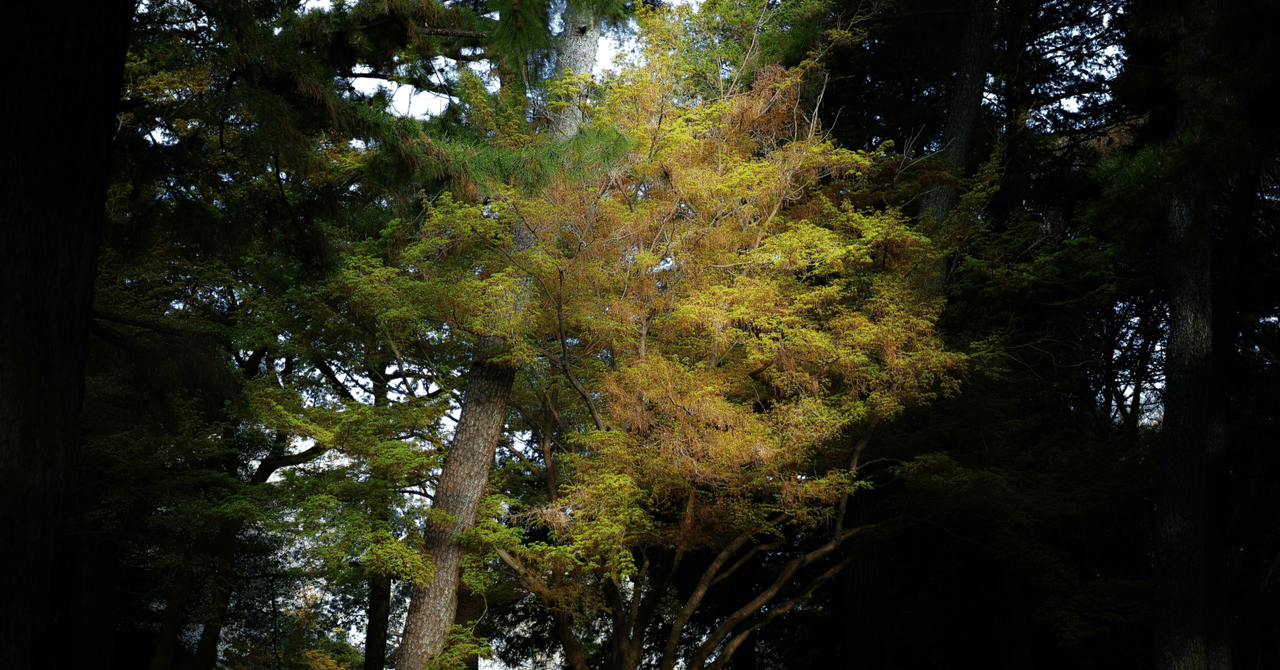 暑くて眠れない夜は｜Minase Kumi