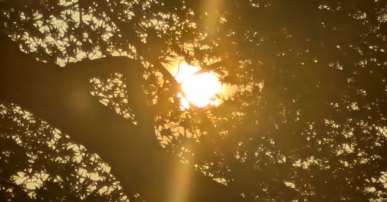 第4巻歌番号561番 歌/作者 大伴百代｜ichiro70