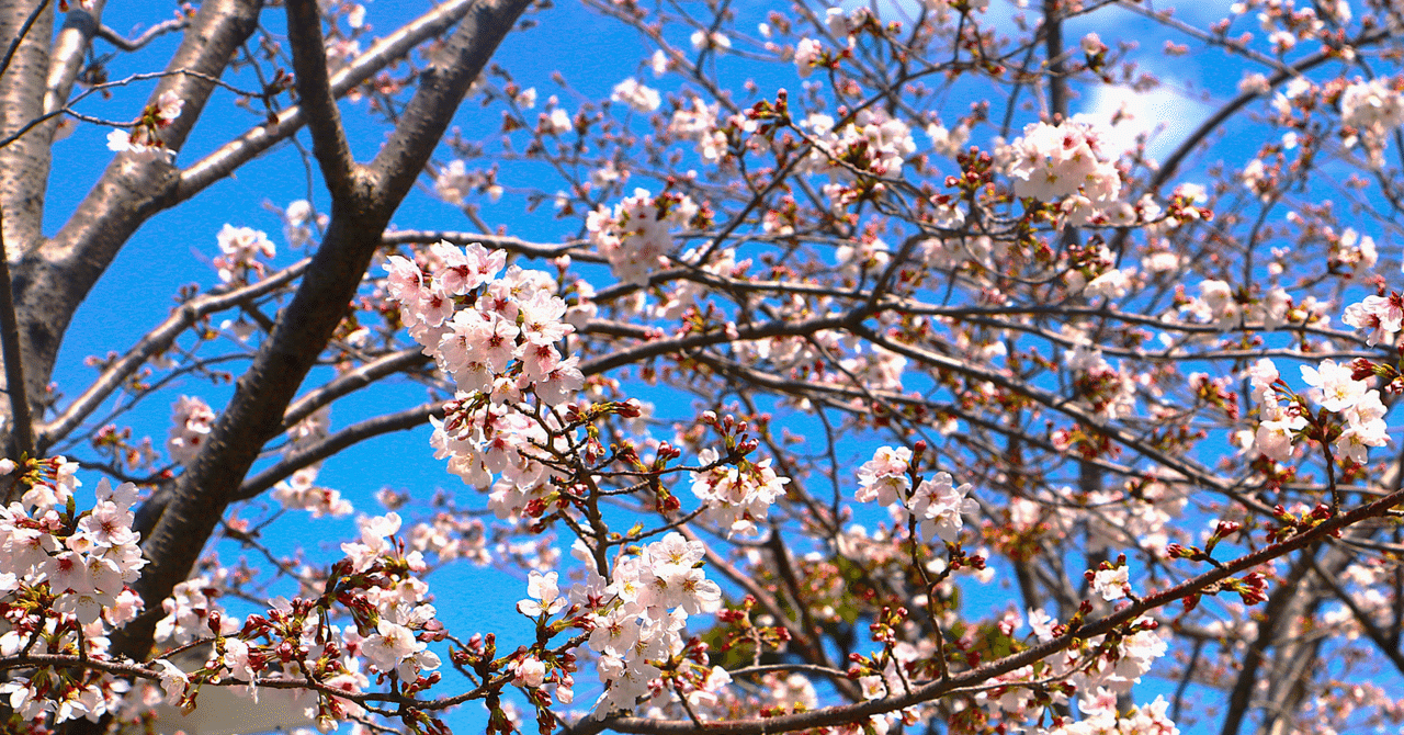 noteを始めて思ったこと｜みどり