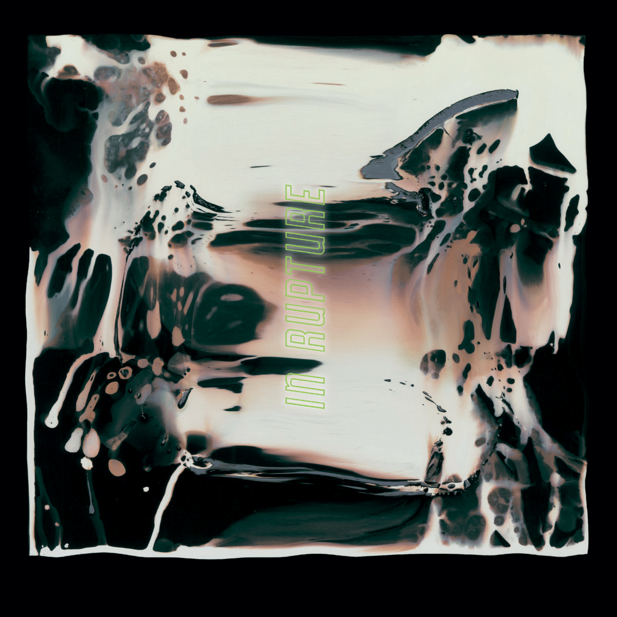 2025年上半期ベスト・アルバム Mid-Year Best Album 50 : Only What I Bought｜猫街まろん