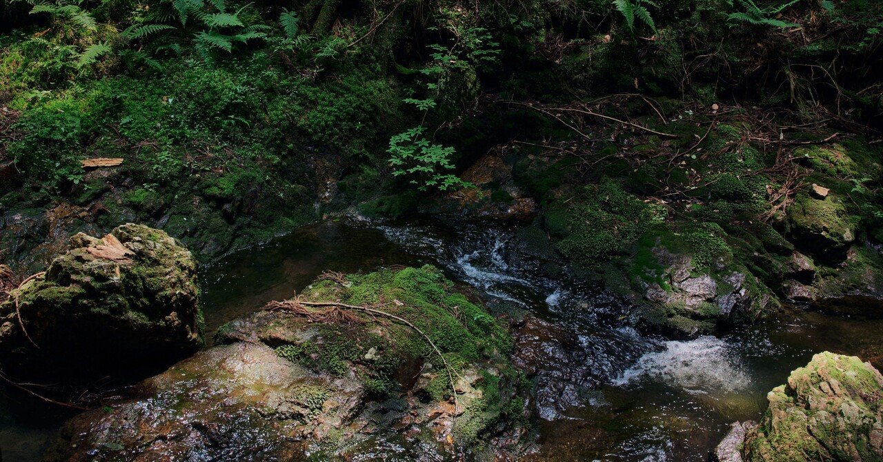 【雑記】写真についてよりも、自分が好きなものについて語れるようになりたい｜Yusuke Marianne