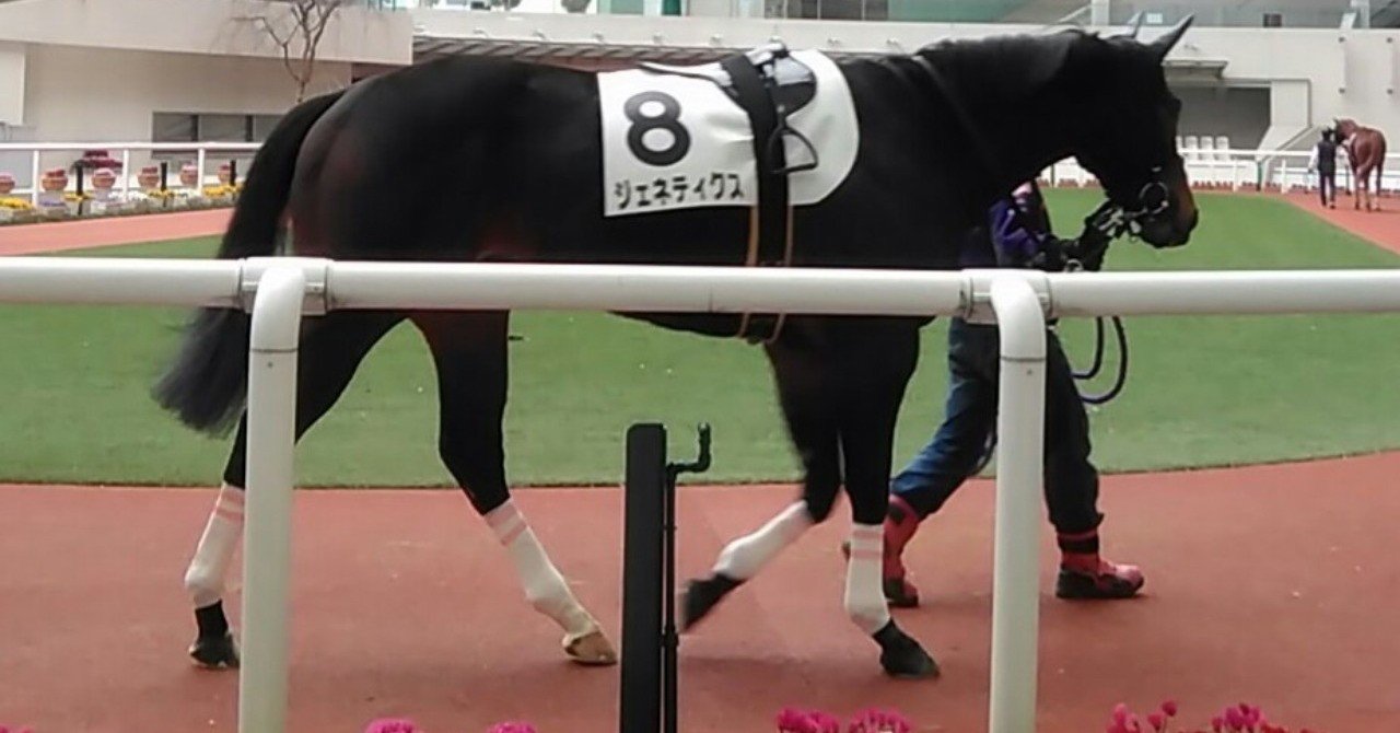 2/29(土)阪神6R 1番人気馬｜JRDB 競馬アラカルト