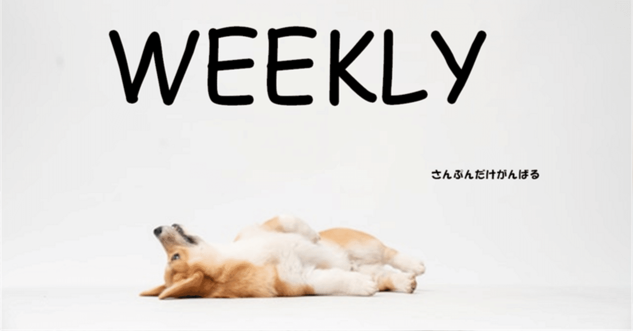 中学生向け3分で終わるクイズ（5問）CW28｜wata_bow