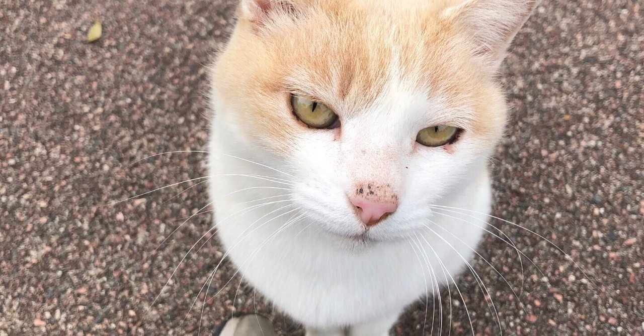 「目覚めろ！俺たちは200年の洗脳から抜け出せる。」｜Shiki Azuki