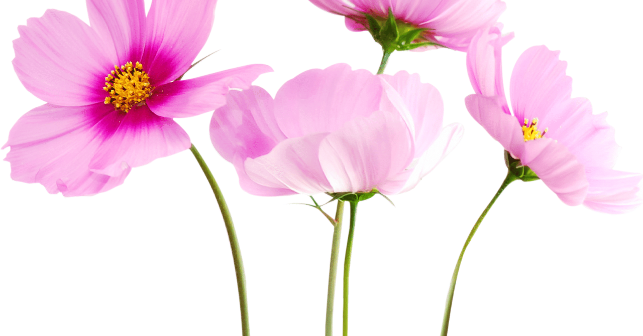 結局、愛って何なんだ？｜Kaoru Sydney「我は神なり龍神なり⋯」 大和の国に再び光を取り戻す