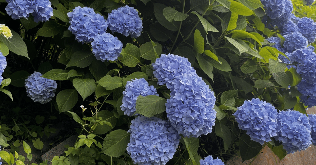 原リョウ【さらば長き眠り】｜tetsuya