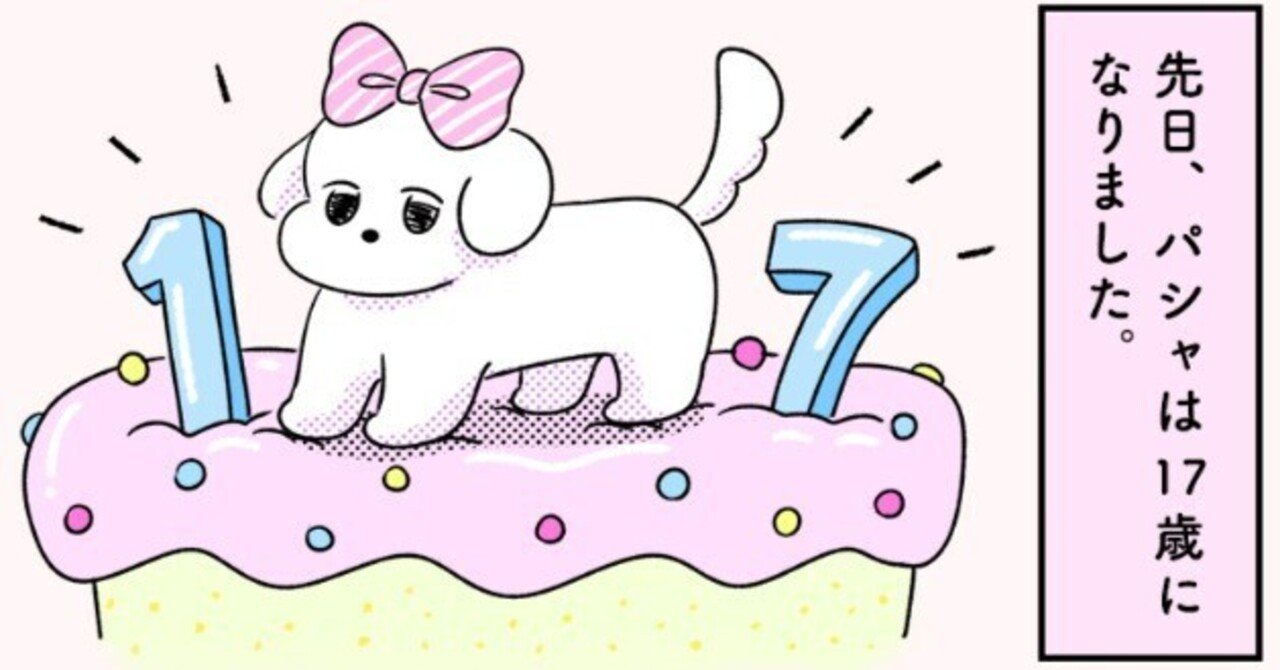 「いぬとのこと」#43 17歳になったこと [コミックエッセイ] ｜YAYO/NU