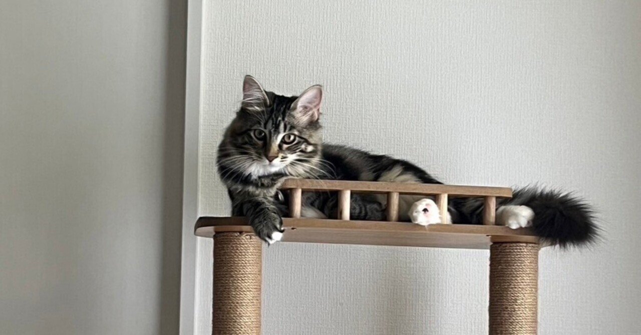 7月に応募する2つ目の文学賞を決めようぜ｜今尾杏(Imao Kyo)@文章で生きたい