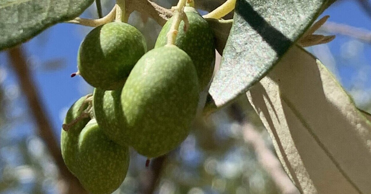 私の方向性｜OTA YUKI