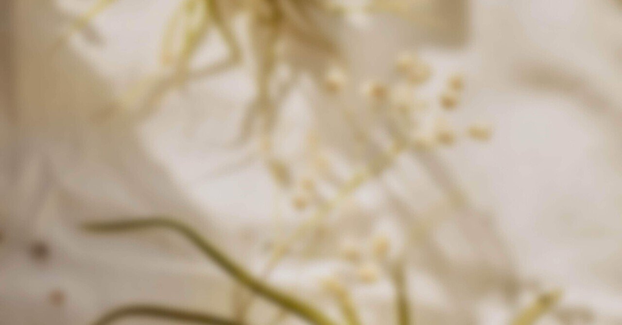 当たり前を変える／見えないところから｜Hiroko Aoki