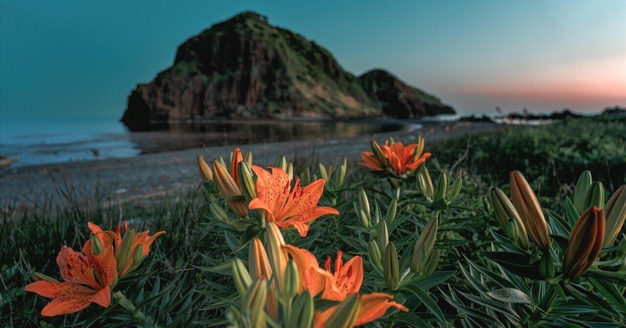 リナのLibre｜note