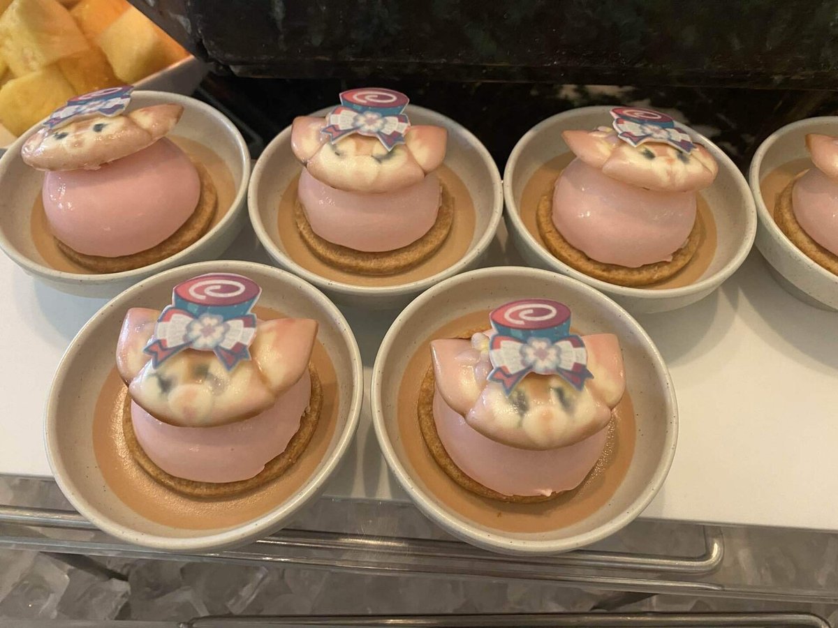 【HKDL】20周年をお祝いしに行く！｜②大満足のグリーティング｜れ🌸ゆるゆる地方オタク