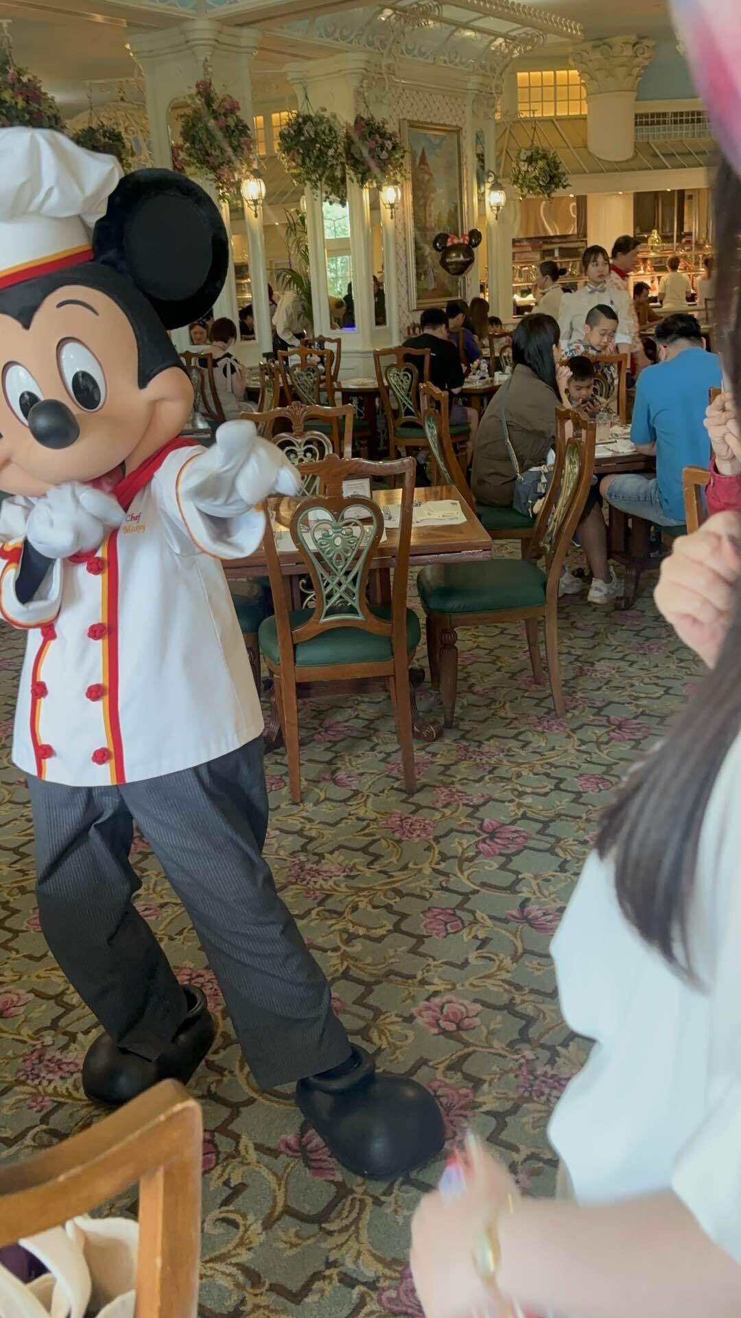 【HKDL】20周年をお祝いしに行く！｜②大満足のグリーティング｜れ🌸ゆるゆる地方オタク