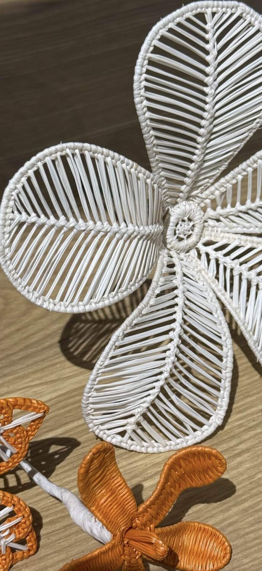 EXPO 2025 『マーシャル諸島共和国』 大阪関西万博に見る植物｜EGGSEED