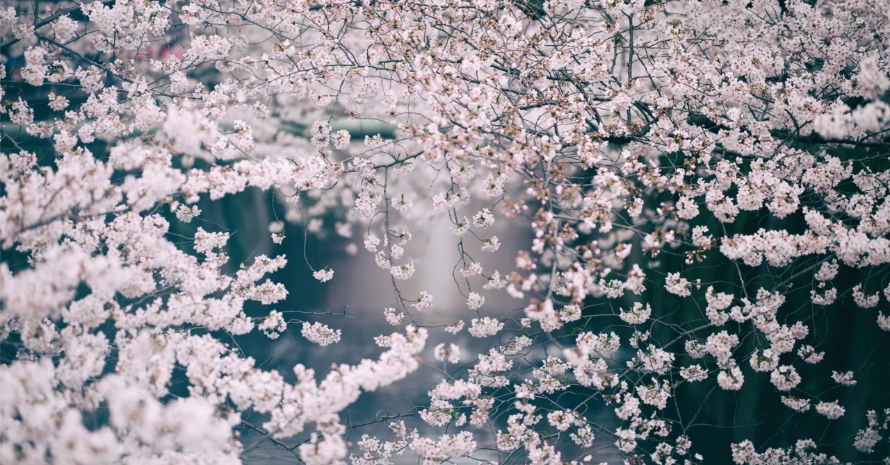 Ethics Residing in Silence and Presence: The Form of Holiness in ...