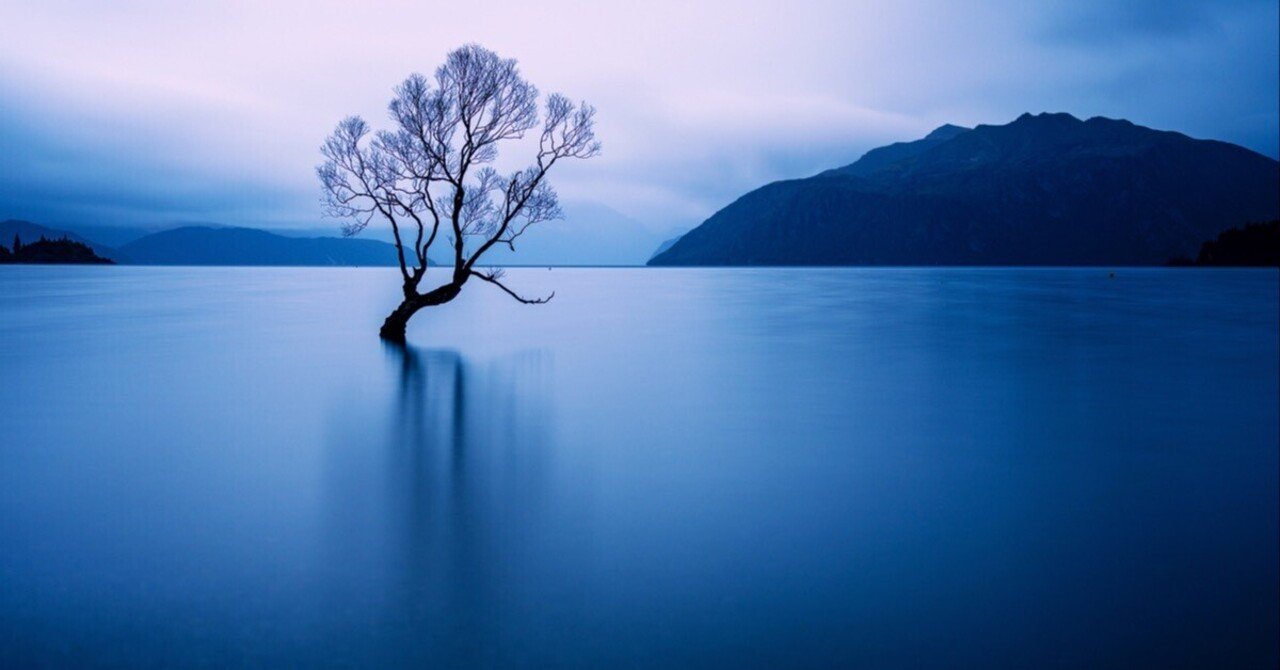 言葉にできない思考が、僕を写真へと導いた──視覚で考えるということ｜Negi Asatsuki