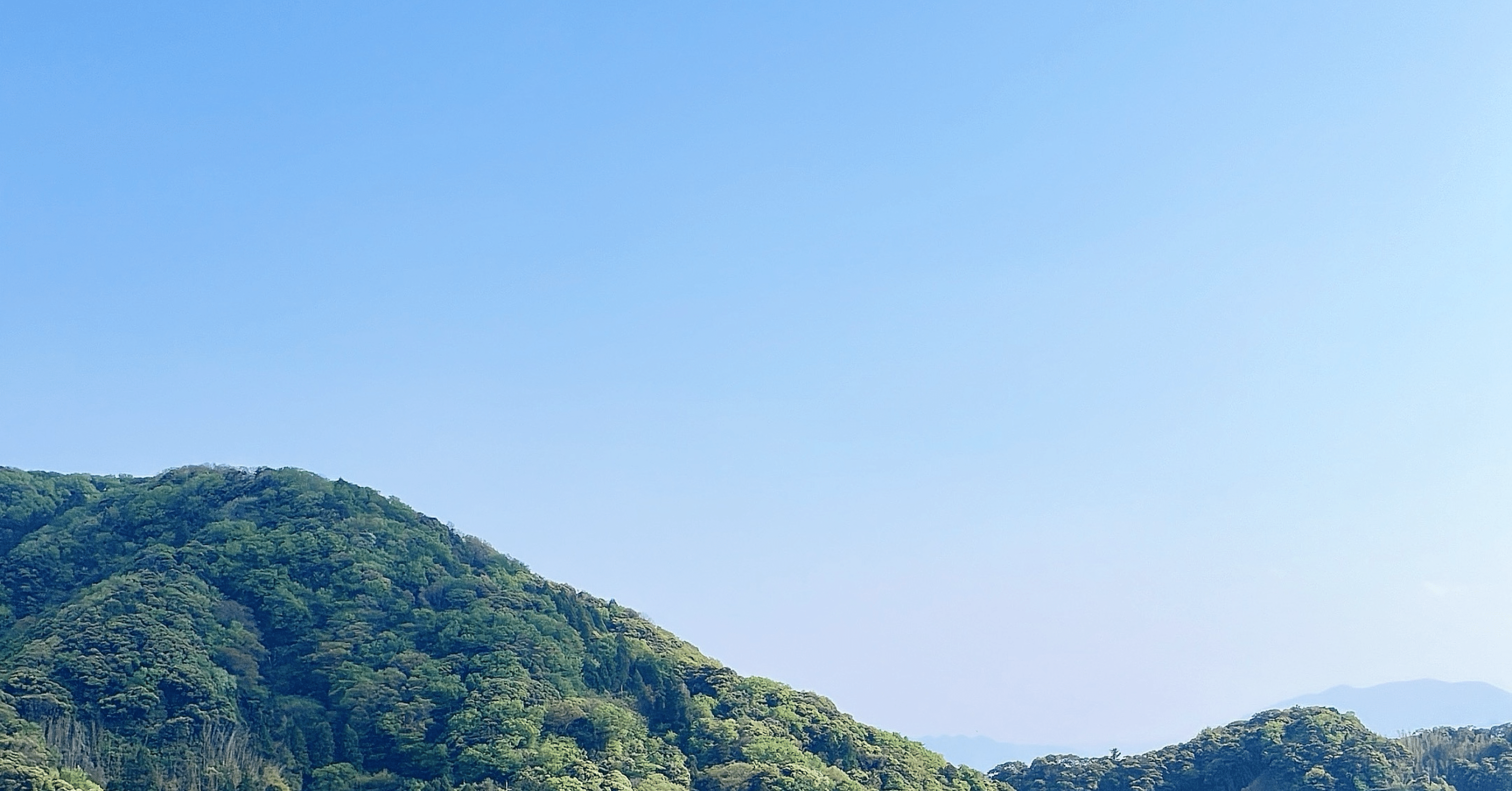 ＊piz＊HSP×INFJ｜note