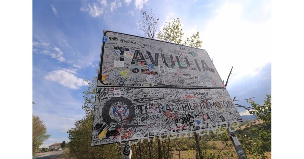 Tavullia ｜tabibito