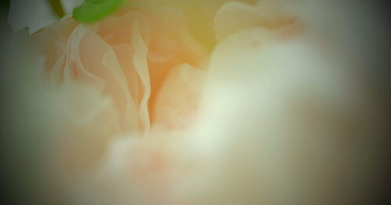 花みくじ｜Cosmic Suzu