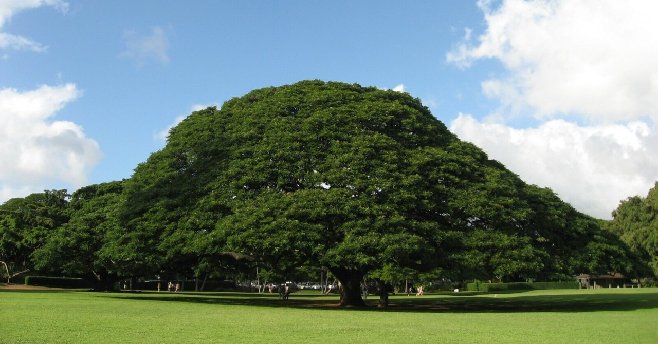 TSMC 6月売上高（2025/7/10 発表）｜Gold River