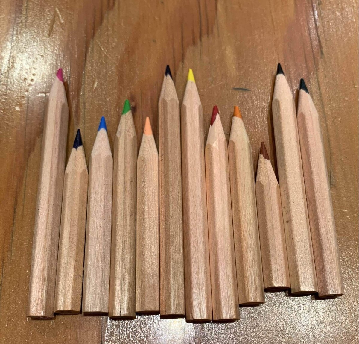 シーズン27 DAY477🌞｜まり蔵