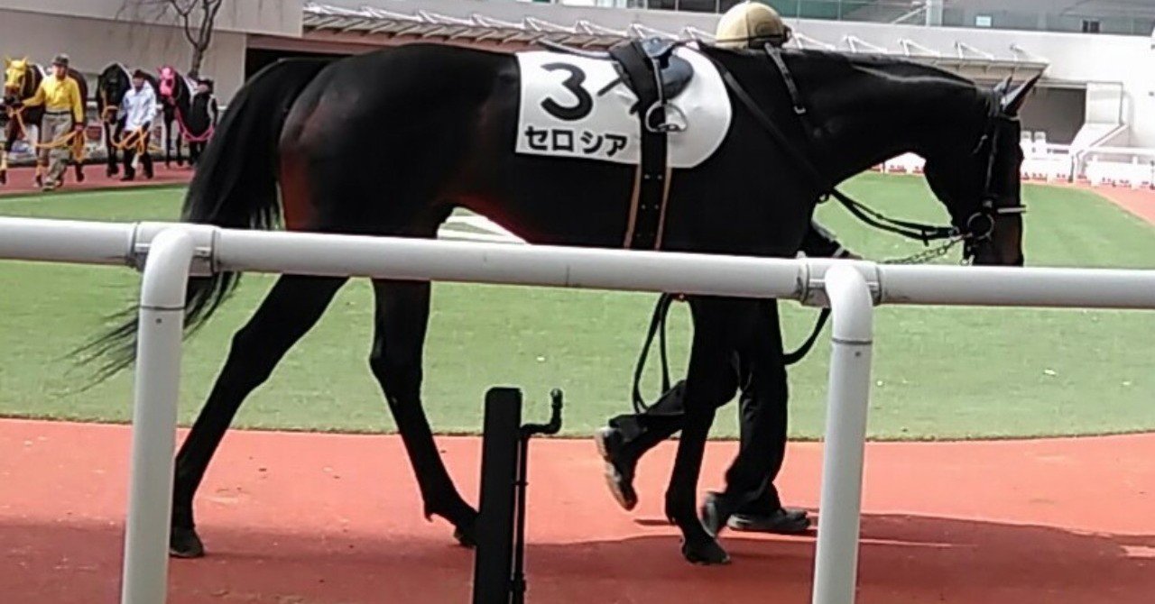 3/1(日) 阪神6R 1番人気馬｜JRDB 競馬アラカルト