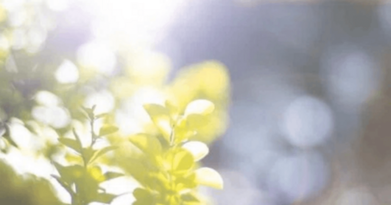 ピアノ弾きのあがり症改善はコンディションから｜Yoko Ina 🎹