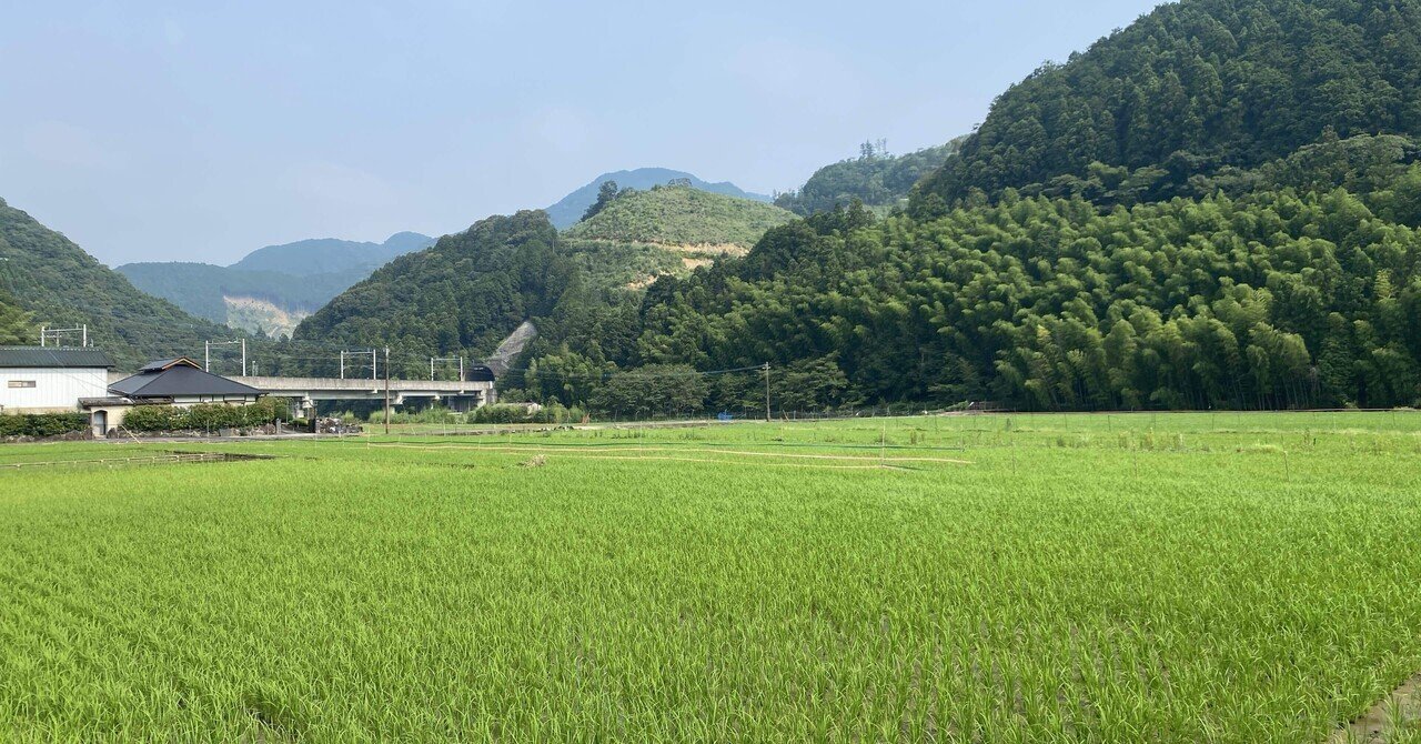 恵みの雨｜Hayakawa Hiroaki 熊本県八代市坂本町のまちおこし