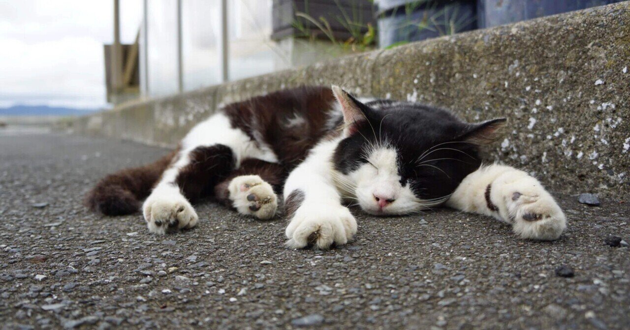 睡眠の質について｜unitason