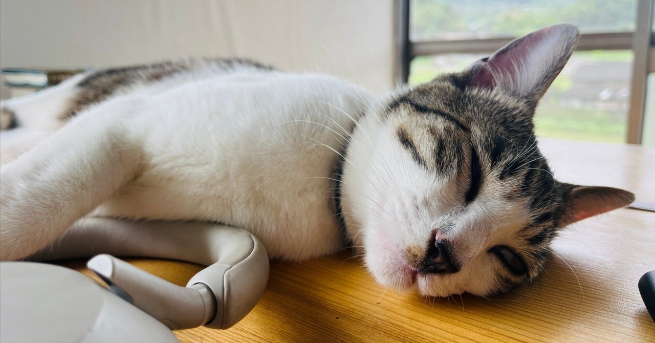 24時間働けますか｜awai Sou / 佐藤 草 自然（わたし）にかえろう🌿ともにいのちを生きる