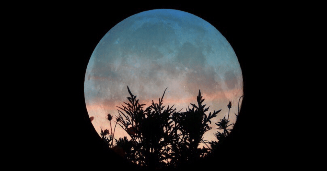 【7月11日山羊座の満月】より良い2025年下半期に進む、覚悟を決める。今こそ前進を。｜吉田青央 ︎Ao Yoshida